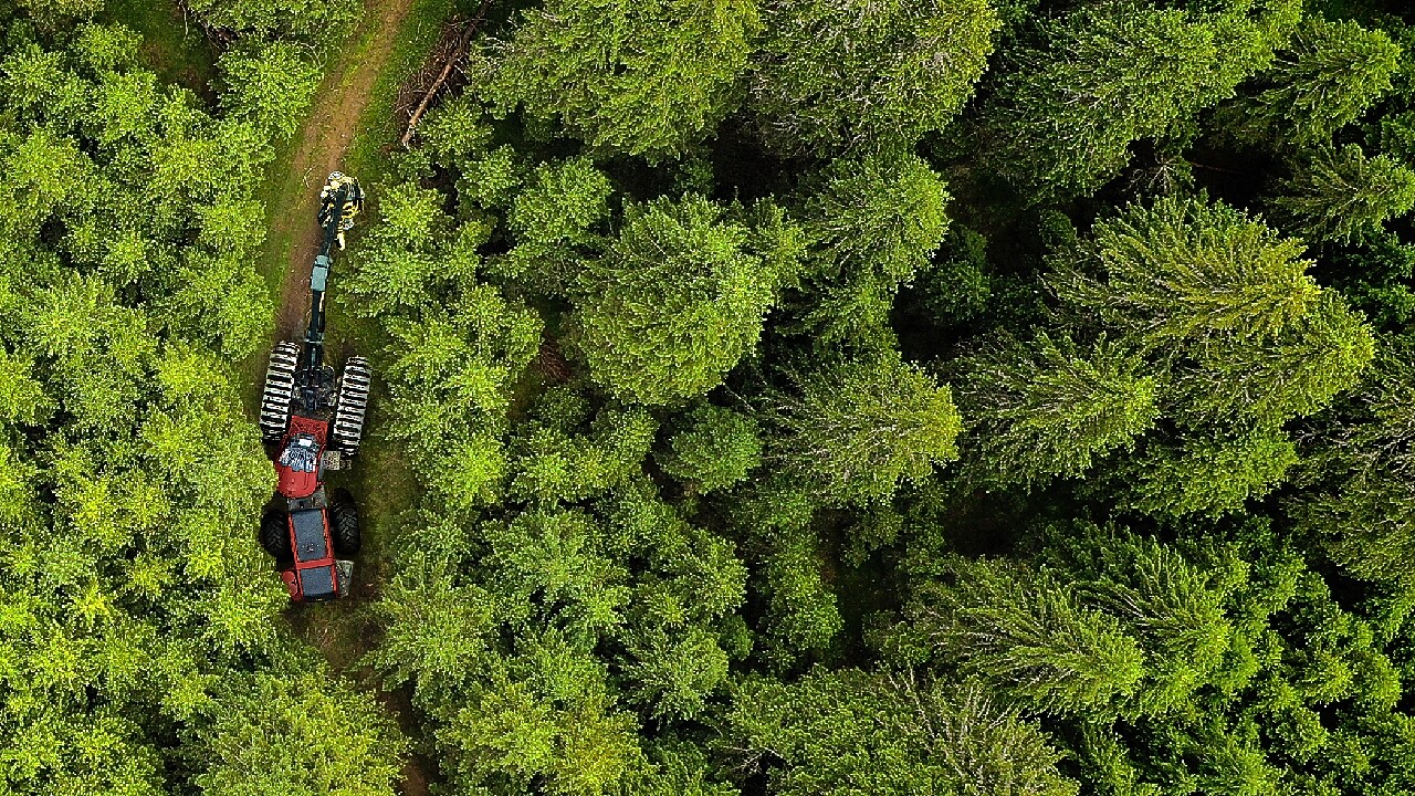 Biologisch afbreekbaar: Shell Panolin | Bedrijven